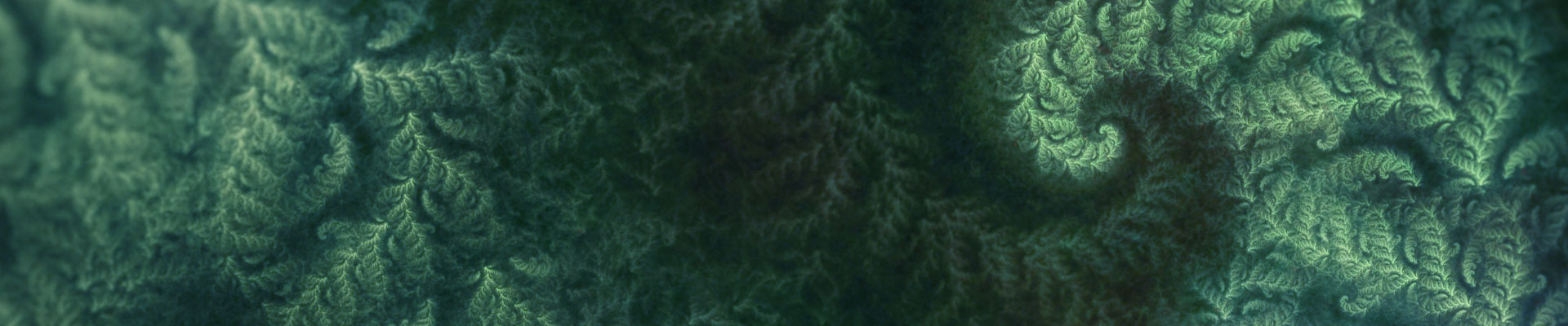 VOID VISUALS • Fractal Patterns of Creation