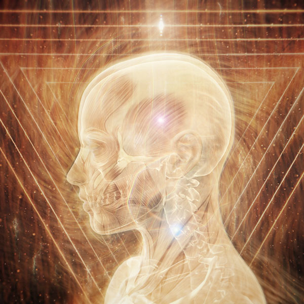 VOID VISUALS • Interactive Gallery